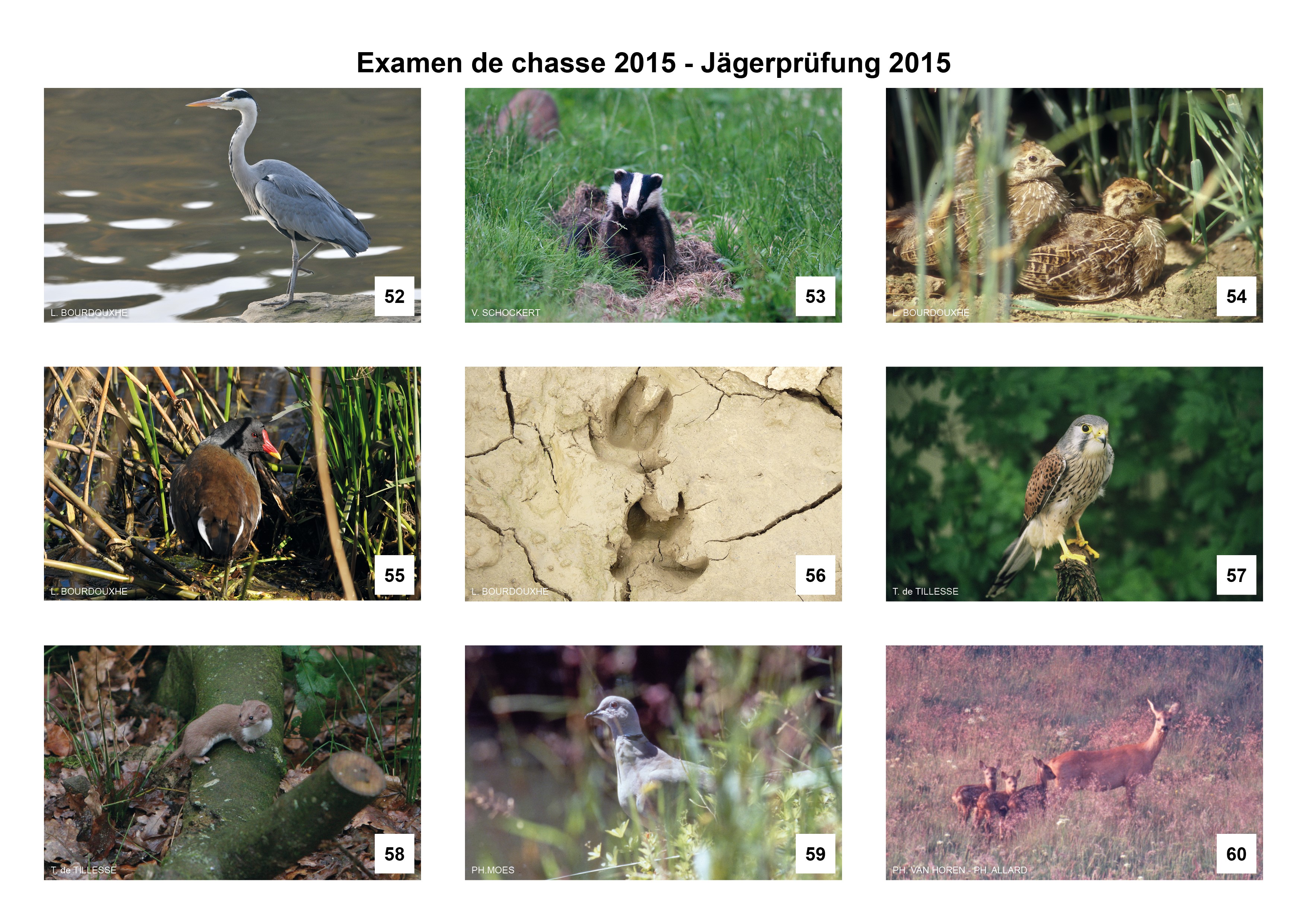 Royal Saint Hubert Club de Bel - Cours de chasse théoriques 2021